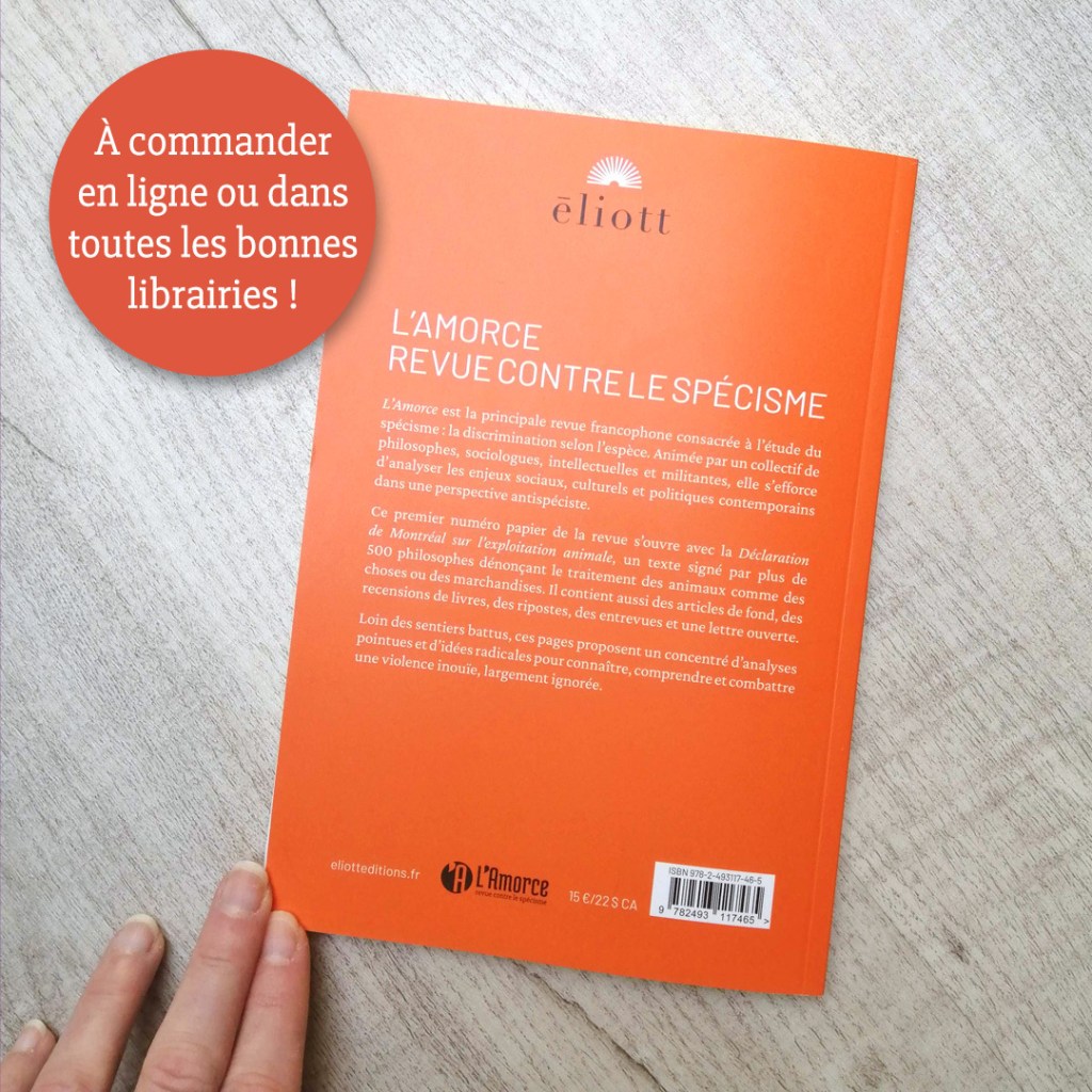 Une amorce en papier – L'Amorce